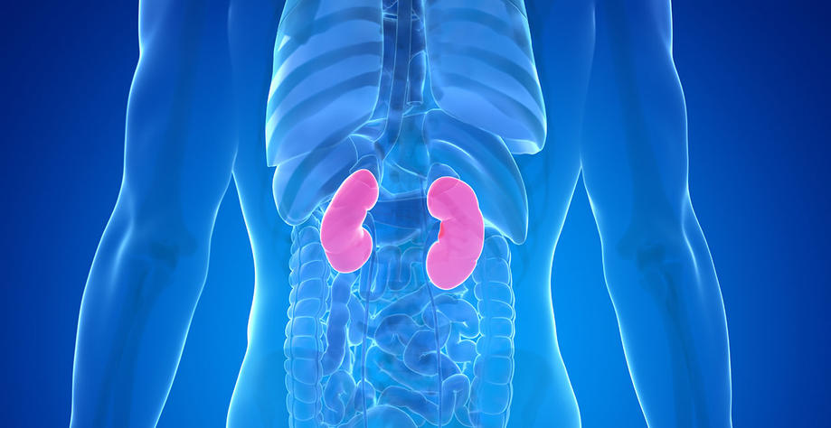 Tumore del rene, una nuova ricerca per personalizzare le cure | Secondo ...